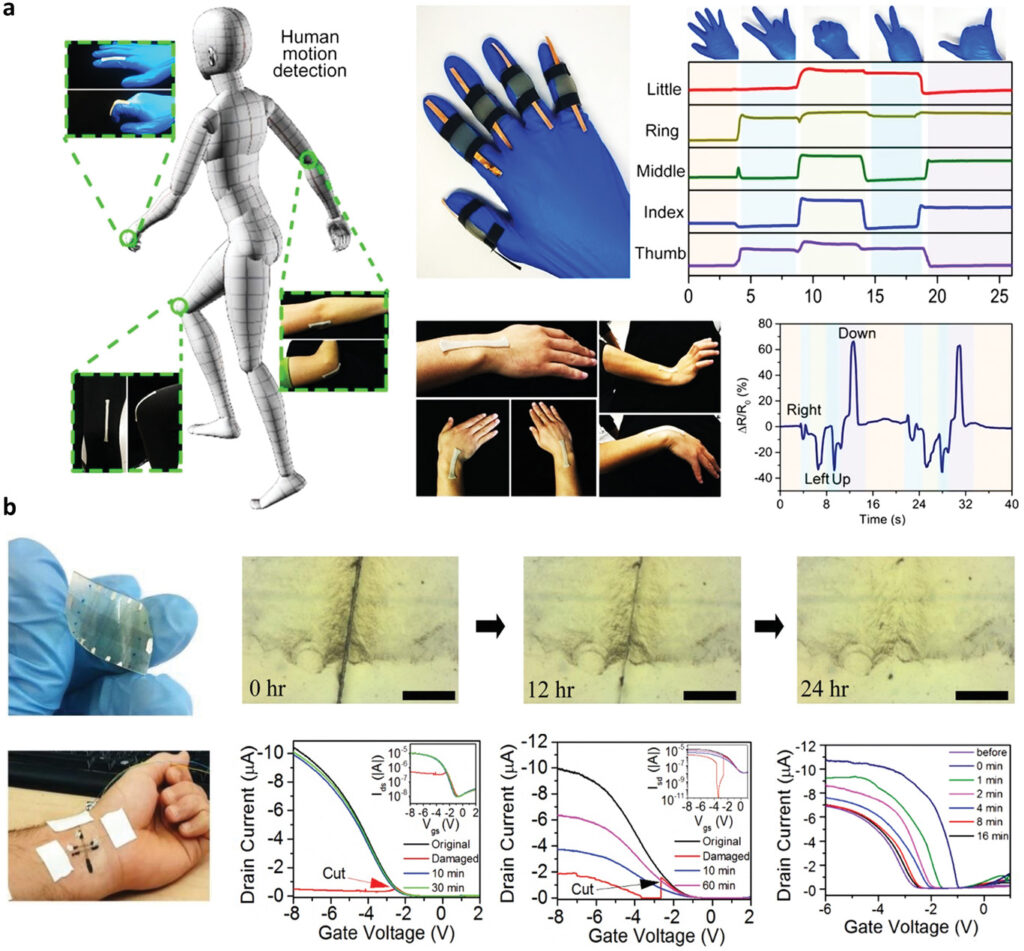 Self-Healing Sensors - Future of Interface